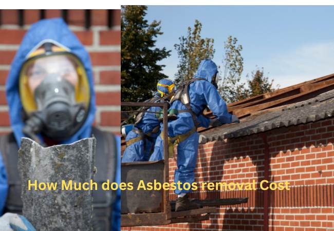 How much does asbestos removal cost? | Zero Waste Services