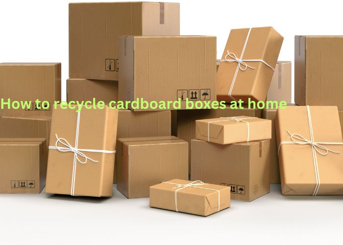 How to recycle cardboard boxes at home | Zero Waste Services